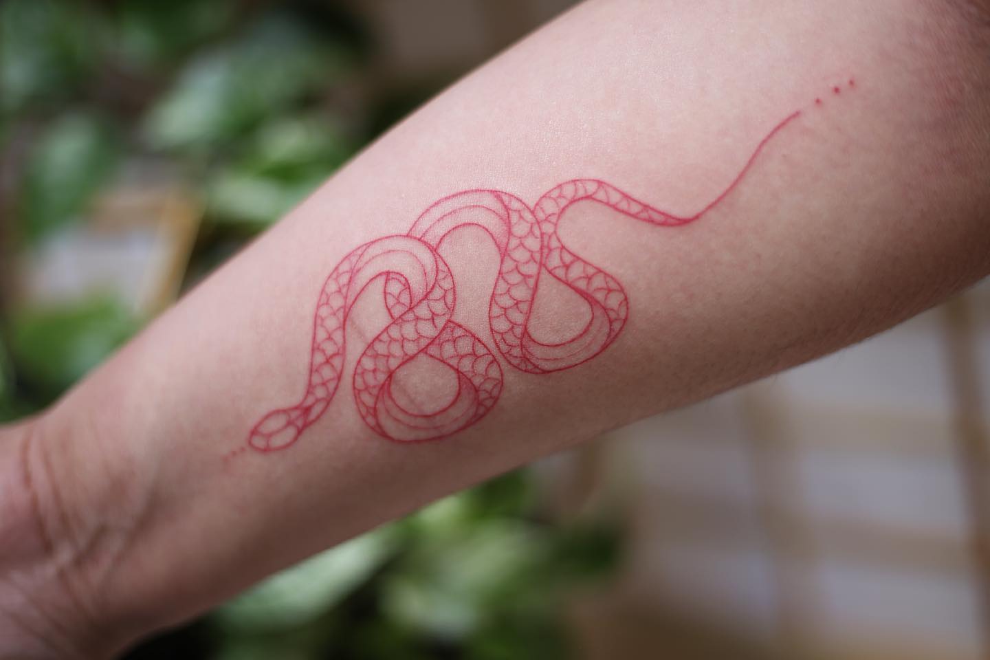 32 Small Snake Tattoo Models for 2021 - Small Tattoos & Ideas